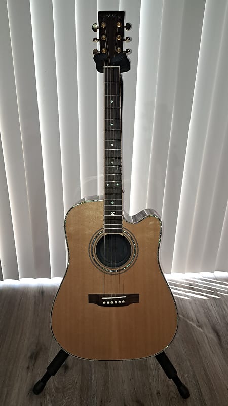 ZAD900CE Solid Spruce/Rosewood Acoustic Electric AURA Pro | Reverb