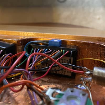 Roger (RBass) Elite | Reverb