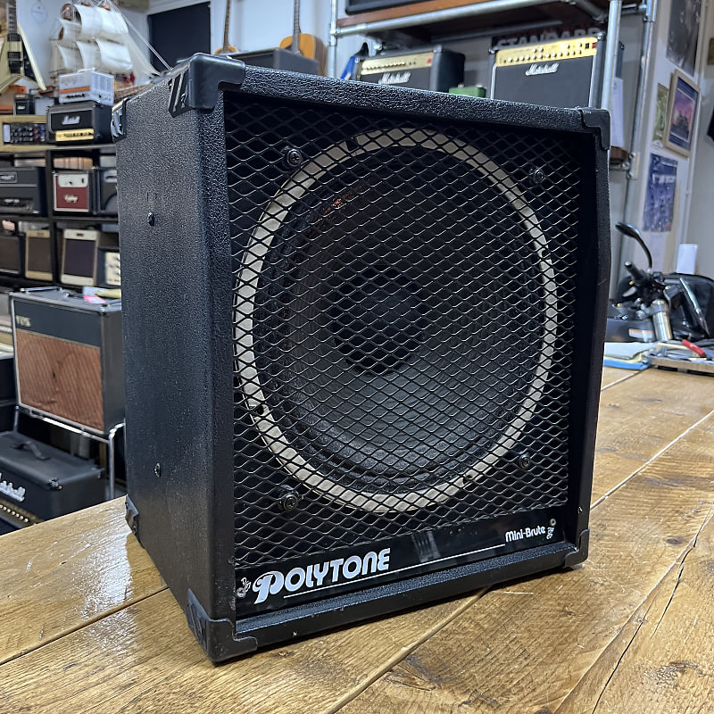 Polytone Minibrute II 100watt Combo Amp | Reverb UK