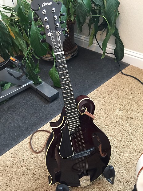 Collings Left Handed MF Mandolin Lefty w/upgrades | Reverb