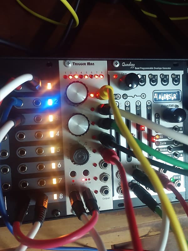 Delptronics Trigger Man V2 Eurorack Trigger Sequencer | Reverb