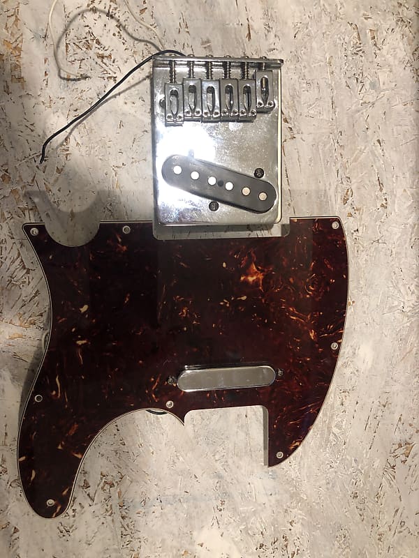 Fender Telecaster Tortoise Shell FSR | Reverb