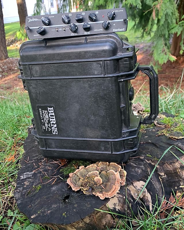 Burns Delta Model 4 Slot Case, Black, Synergy MTS Egnater | Reverb