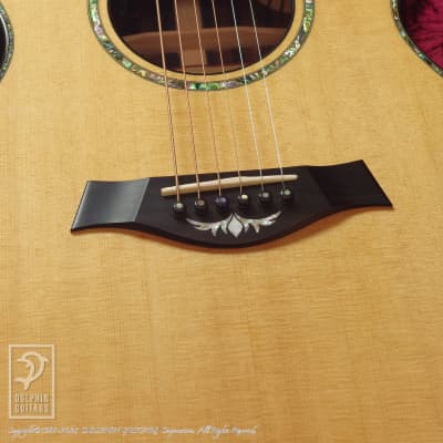 TAYLOR PS-12ce Cocobolo [Pre-Owned] | Reverb