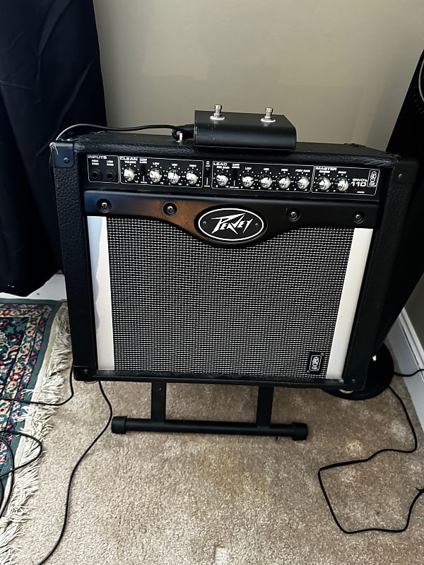 PEAVEY ENVOY 110 TRANS TUBE SOLIDSTATE 40 WATT 1X10 2 CHANNEL | Reverb