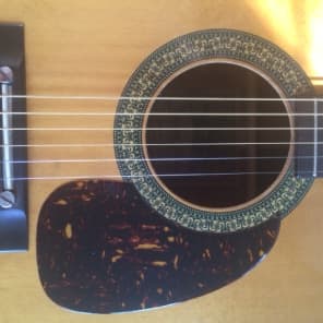 Alvarez 5022 1975 Mahogany/Spruce | Reverb