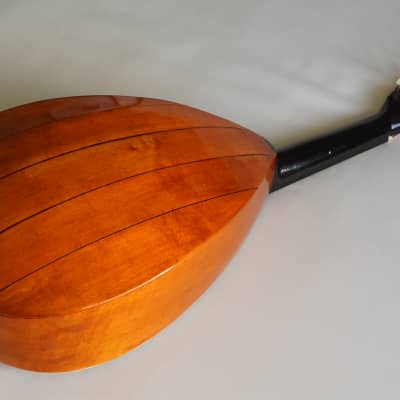 Octaviola - 12 string Mandola circa 1920s | Reverb