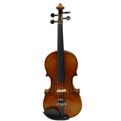 Vienna Strings Munich Violin LTD Handcraft Edition with | Reverb