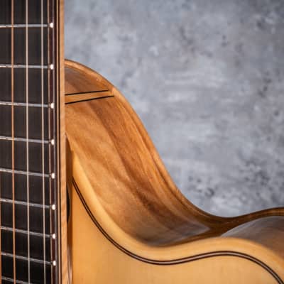 Lavoie Guitars Baryton Archtop (9 strings) | Reverb