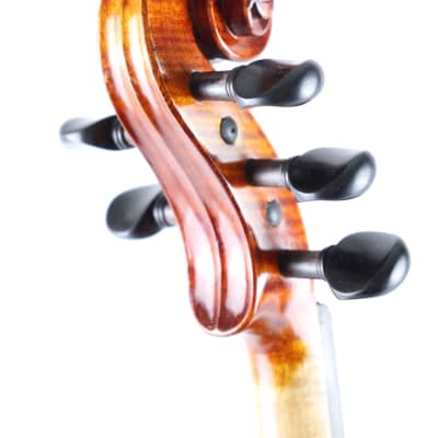 Modern 5 Strings violin/viola | Reverb