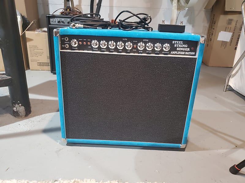 Amplified Nation Steel String Singer 100-Watt Guitar Amp Head | Reverb