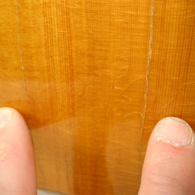 Vintage 1977 Charles Hoffman 12-String Acoustic Guitar w/ | Reverb