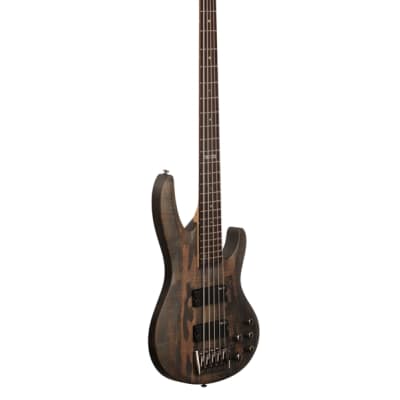 ESP LTD B-205SM | Reverb