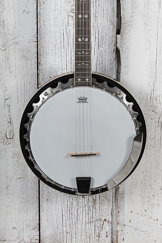 Oscar Schmidt OB5 Left Handed 5 String Lefty Banjo with 30 | Reverb
