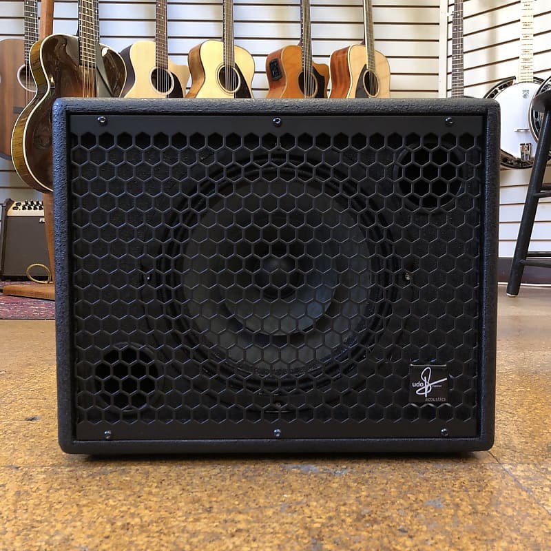 Udo Roesner Amps Da Capo 75 75-watt, 1x8" Acoustic Combo Amp | Reverb