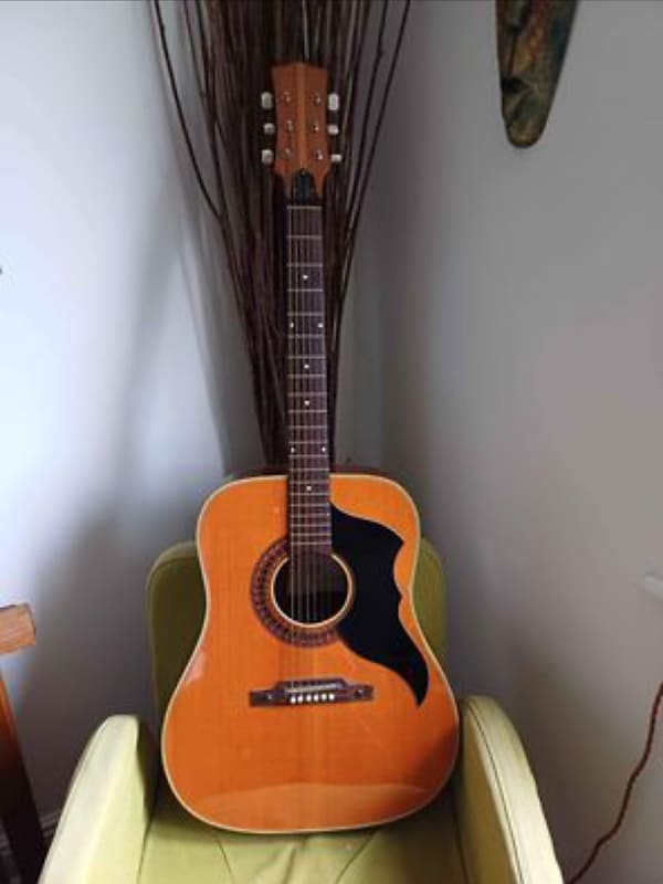 Eko J54 1960's - Amber | Reverb UK