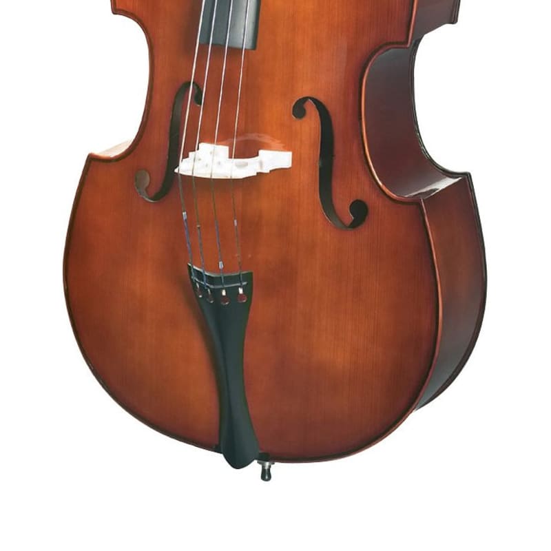 Upright Bass - New & Used Double Basses For Sale | Reverb