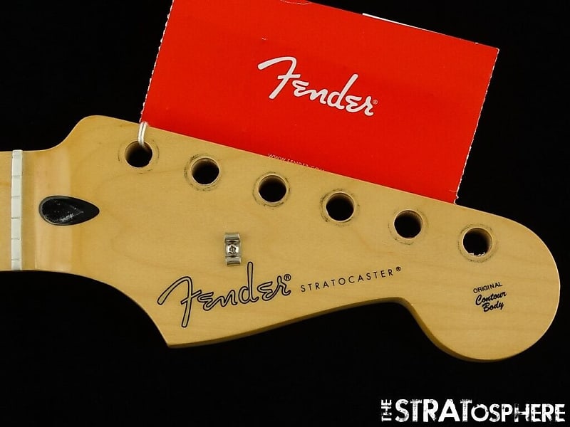 Fender Player Stratocaster Strat NECK, Modern "C" Shape MN, | Reverb