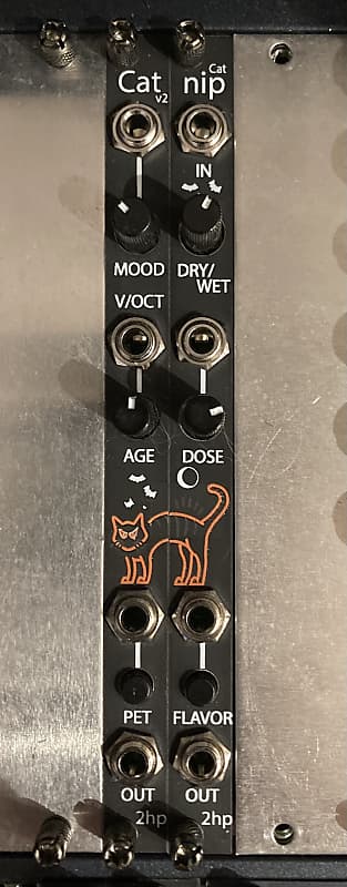 2HP Cat V2 and CatNip Limited Edition Eurorack Modules | Reverb
