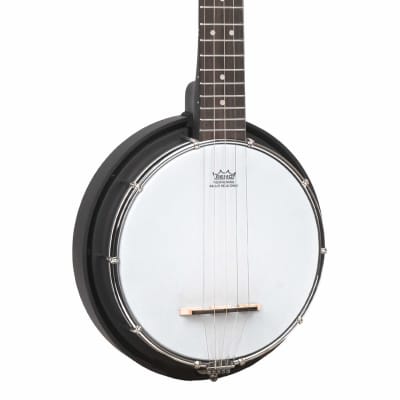 Gold Tone AC-6+ 6-String Acoustic-Electric Banjo | Reverb
