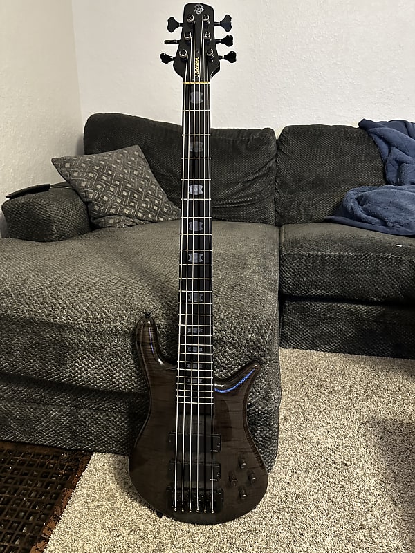 Spector Euro 6 - Limited Edition | Reverb