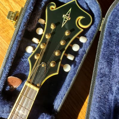 Alvarez F1 Mandolin F Style - ALL SOLID WOODS: Spruce/Maple | Reverb