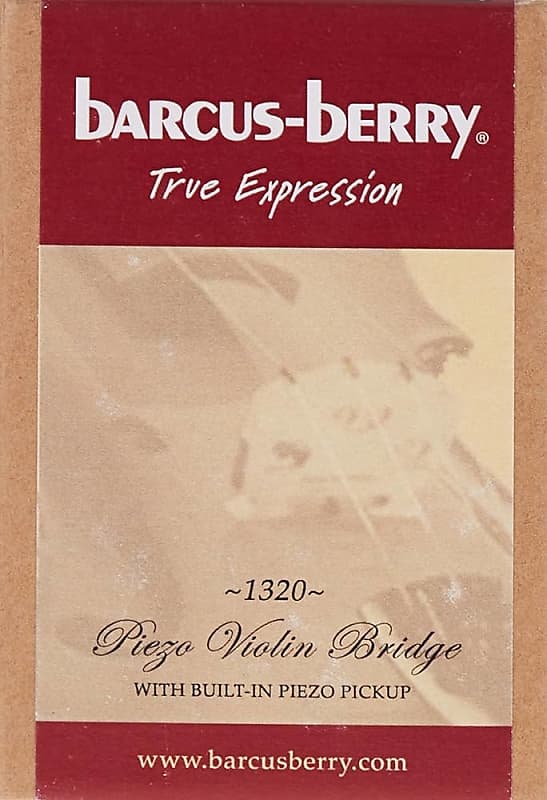 Barcus Berry 1-String Electric Violin, (1320) | Reverb