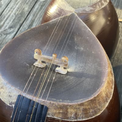 Persian Tar - Iranian Lute | Reverb