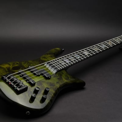 Spector Euro 5 CST 2025 - Haunted Moss Gloss | Reverb