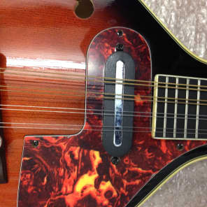 SAMICK SM20E Electric/Acoustic Mandolin Early 90's | Reverb