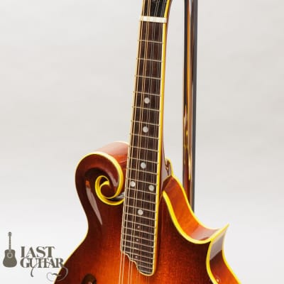 Kasuga F-8 "Gorgeous atmosphere&rich sound with enough | Reverb