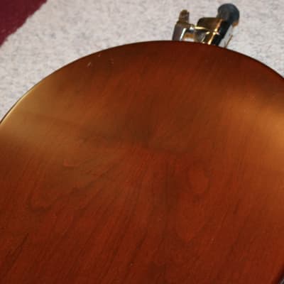 Rare 2004 Barker B1 Vertical Bass - 5 String - Fretless | Reverb