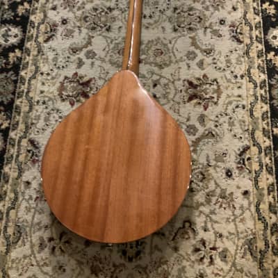 Ashbury Octave Mandolin / short scale | Reverb
