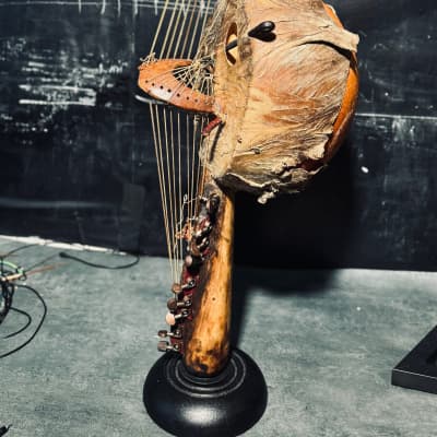 African Traditional Harp Instrument | Reverb