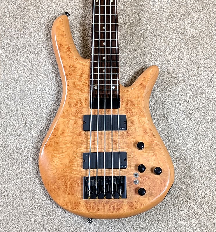 ZON Sonus Standard 5-String Bass w/Gig Bag - Burl Maple Top, | Reverb
