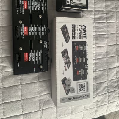 AMT Electronics AMT INCINERATOR NG-1 | Reverb