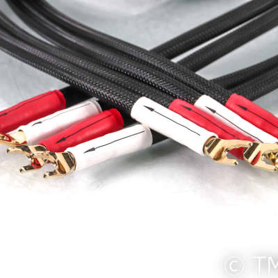 Shunyata Research Sigma v1 Speaker Cables; 2m Pair | Reverb