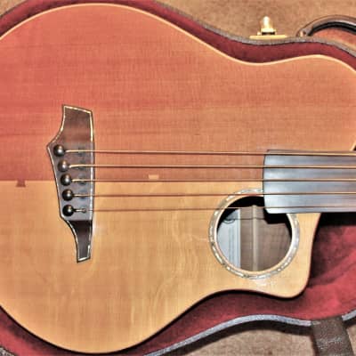 Harry Fleishman 'Dragonfly'. 1995 One of a Kind Acoustic | Reverb