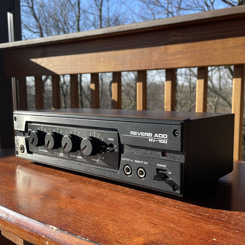 Roland RV-100 Analog Spring Reverb | Reverb