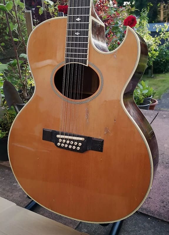 80s / 90s Washburn Tanglewood 12 String Electro Acoustic | Reverb