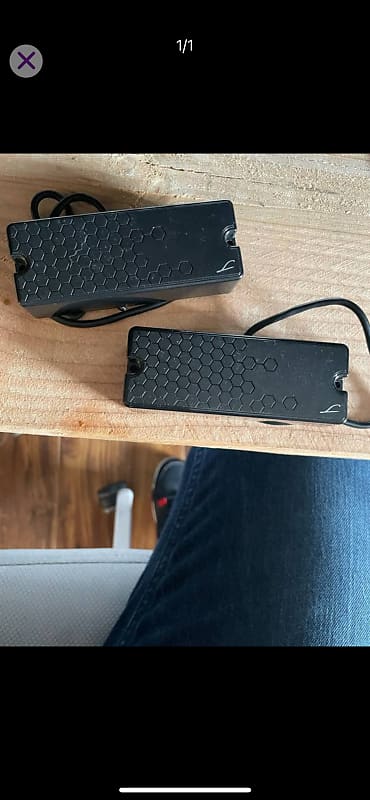 Legator Hive 8 string set | Reverb