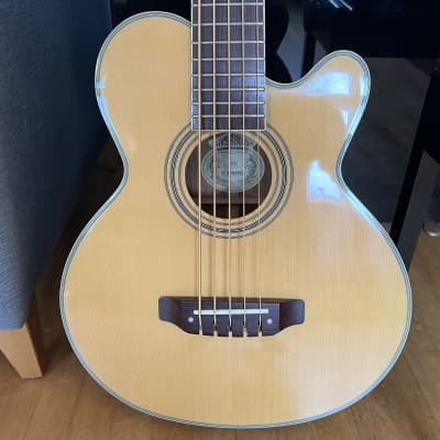 Washburn AB35 electro-acoustic 5 string bass 2004-2006 | Reverb UK