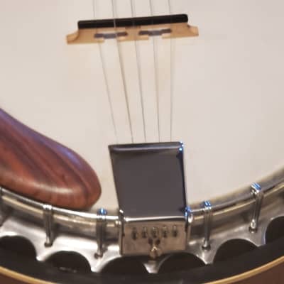 ENCORE E-75 5-STRING BANJO 1970'S - NATURAL | Reverb