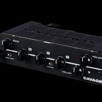 Synergy Amps Engl Savage - Two Channel Tube Preamp Module | Reverb