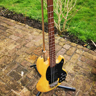 Wal basses Bass Guitars for sale in the USA | guitar-list
