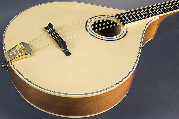 Gold Tone OM-800+ Acoustic-Electric Octave Mandolin with | Reverb UK