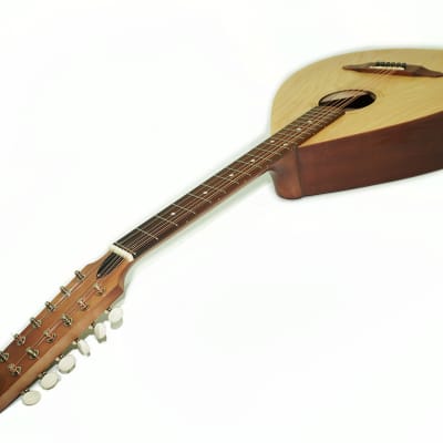 Acoustic 12 String Lute Folk Guitar Kobza Vihuela made in | Reverb