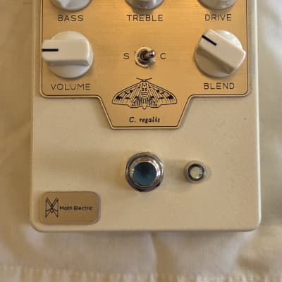 Moth Electric C. regalis Overdrive 2025 White | Reverb