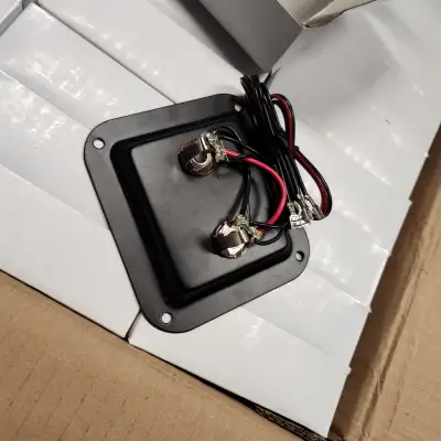 Speaker Plate Dual Input Jack Plate Metal 60 to | Reverb Australia