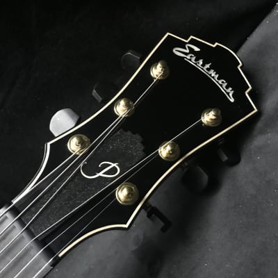 Eastman John Pisano 480ce Anniversary 2023 - Sunburst Archtop | Reverb